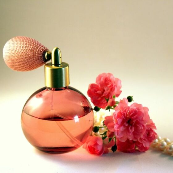 Cómo Leer y Entender las Notas de un PERFUME